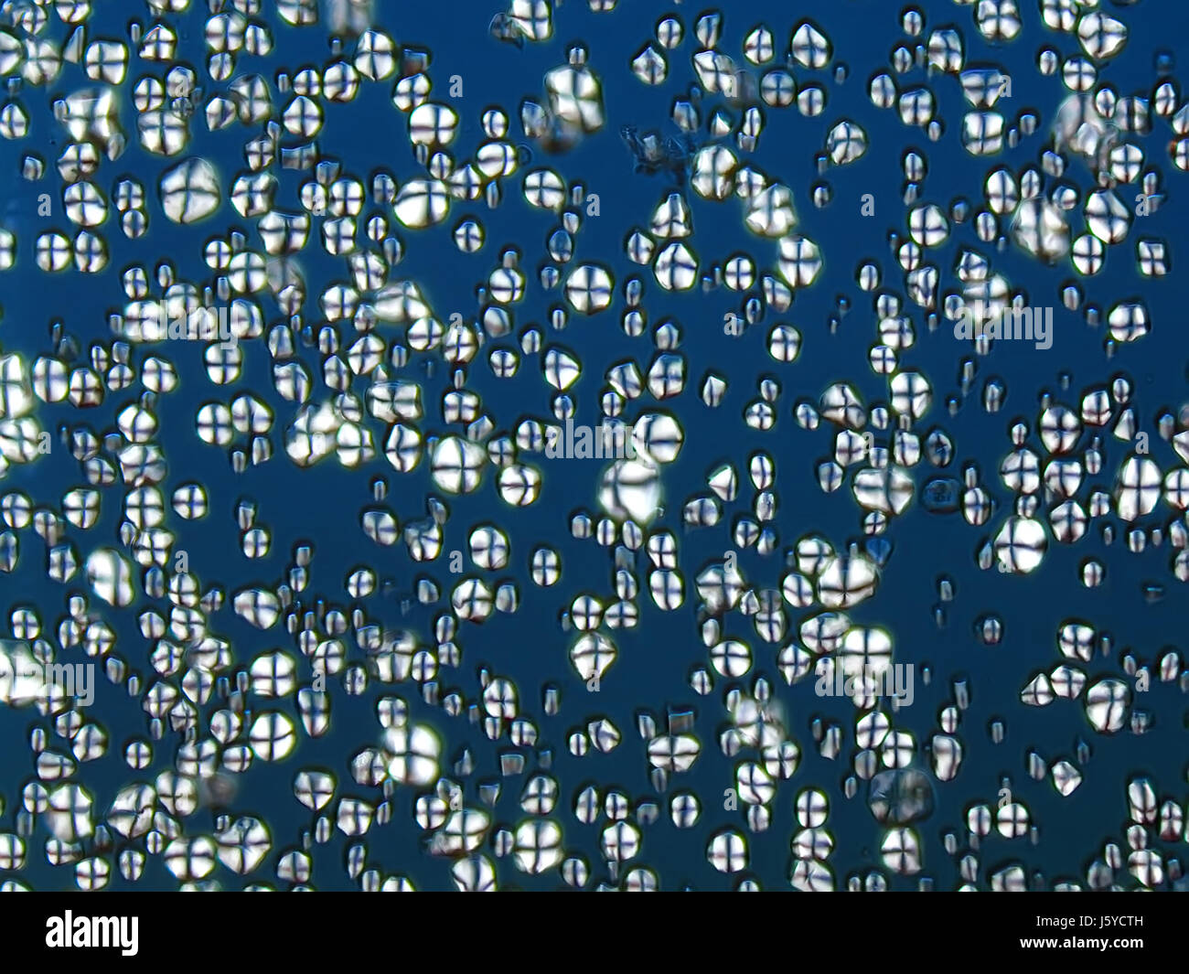 Corn Starch Microscope