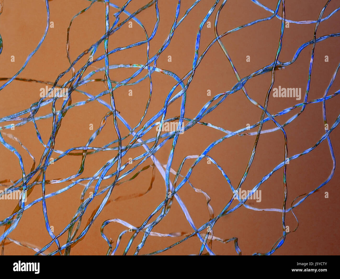 Cotton microscope hi-res stock photography and images - Alamy