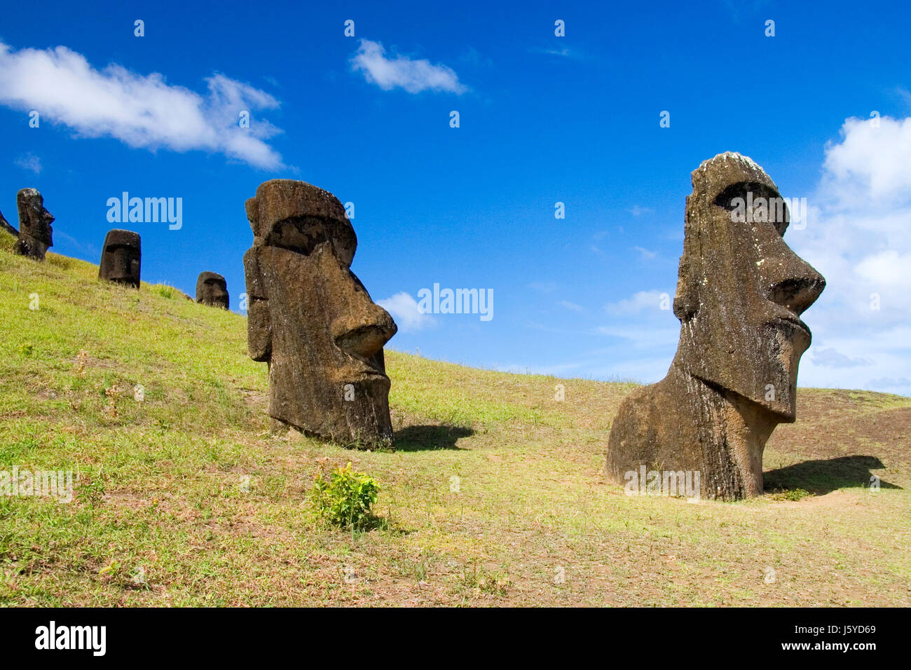 statue easter island isle statue easter island isle moa rapa nui moa ...