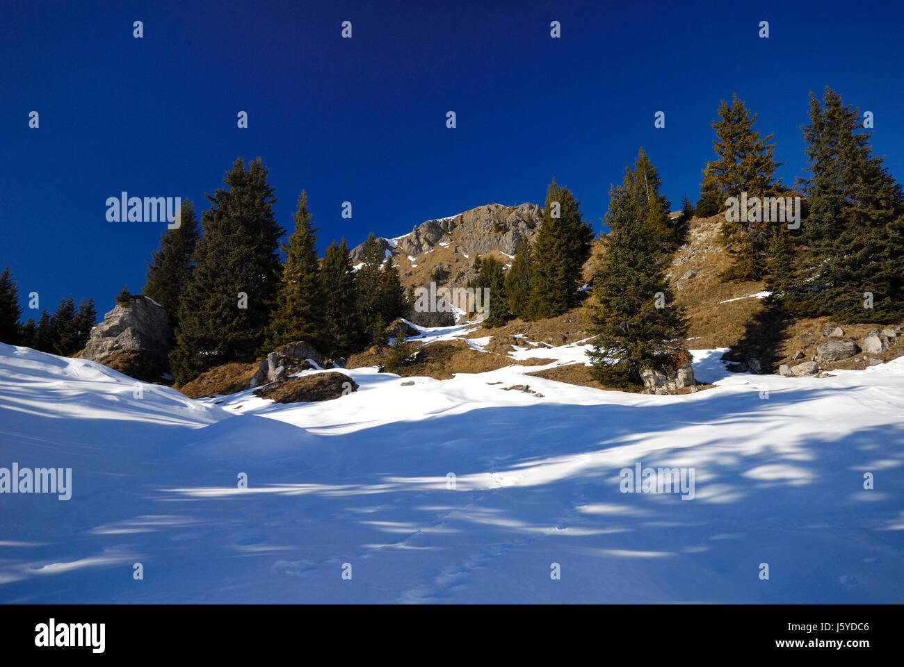 blue mountains winter alps steel snow shaddow shadow shadows tree trees ...