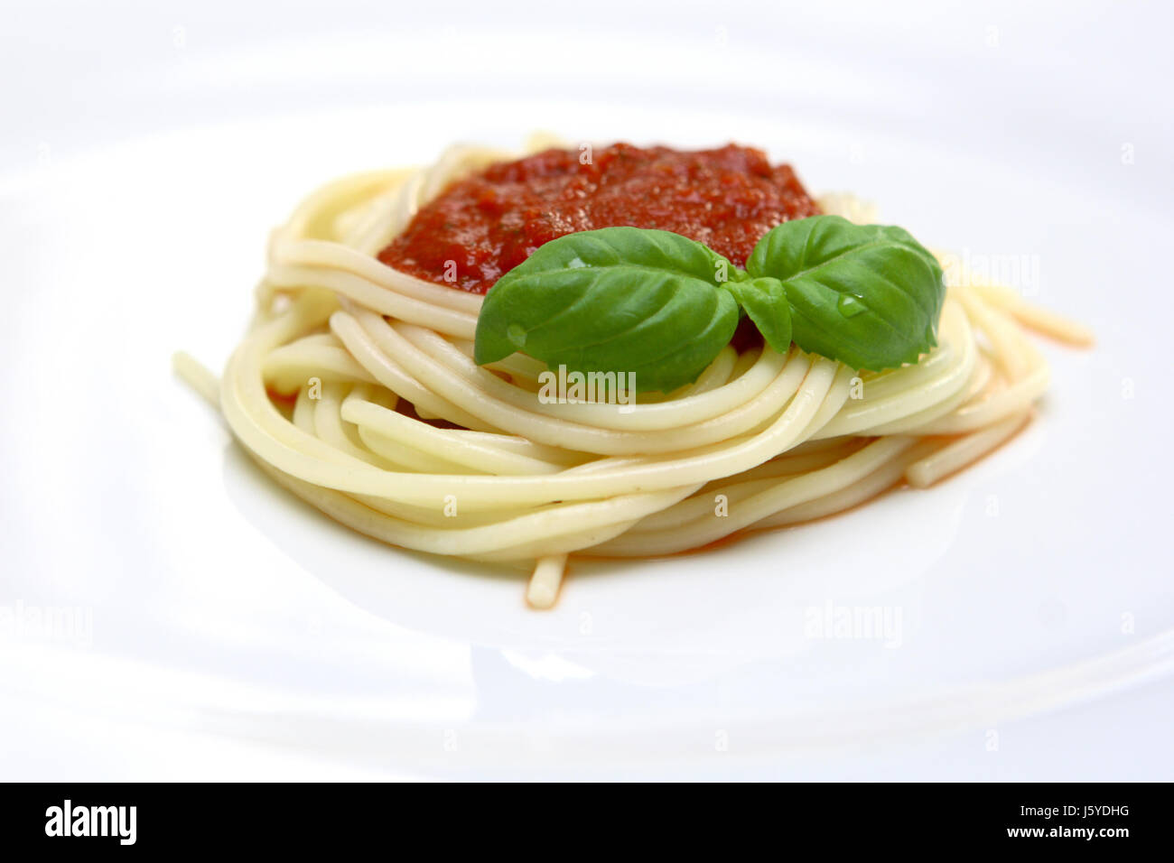 food aliment spaghetti italian basil dish meal lunch pasta supper ...