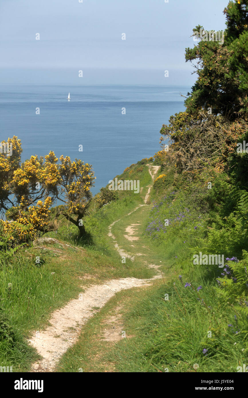 North Devon seascape viewed from the Coast path Stock Photo - Alamy