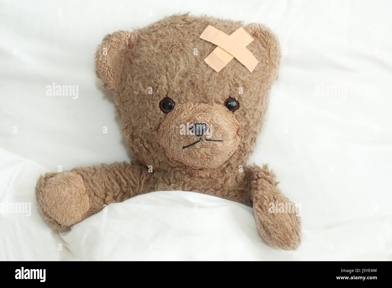 teddy teddy bear teddybear hospital wound hurt patient wounds sick ill ...