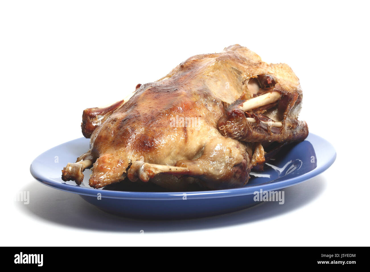 food aliment dainty poultry goose roast goose roast fry christmas xmas ...