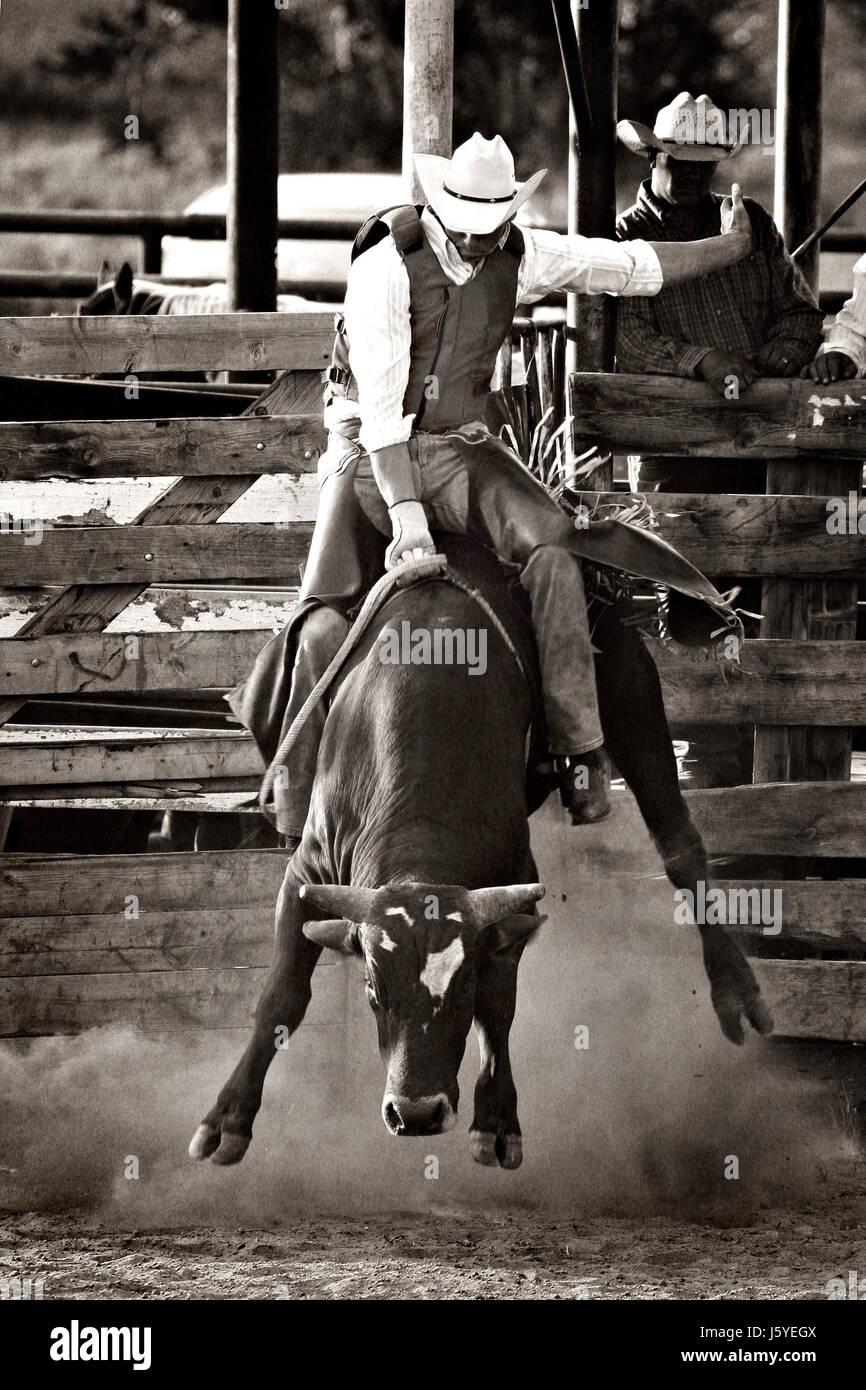 Fury riding hi-res stock photography and images - Alamy