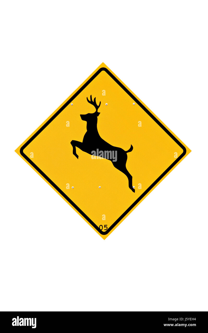 danger wildlife warning deer sign crossing danger detail isolated ...