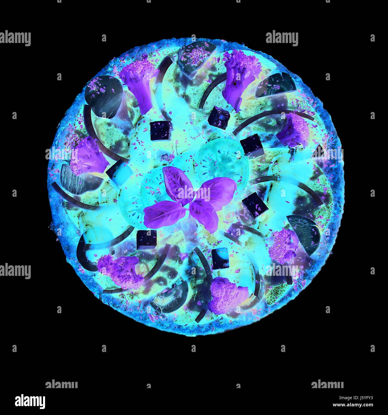 dainty pizza fastfood eating eat eats isolated hunger large largely ...