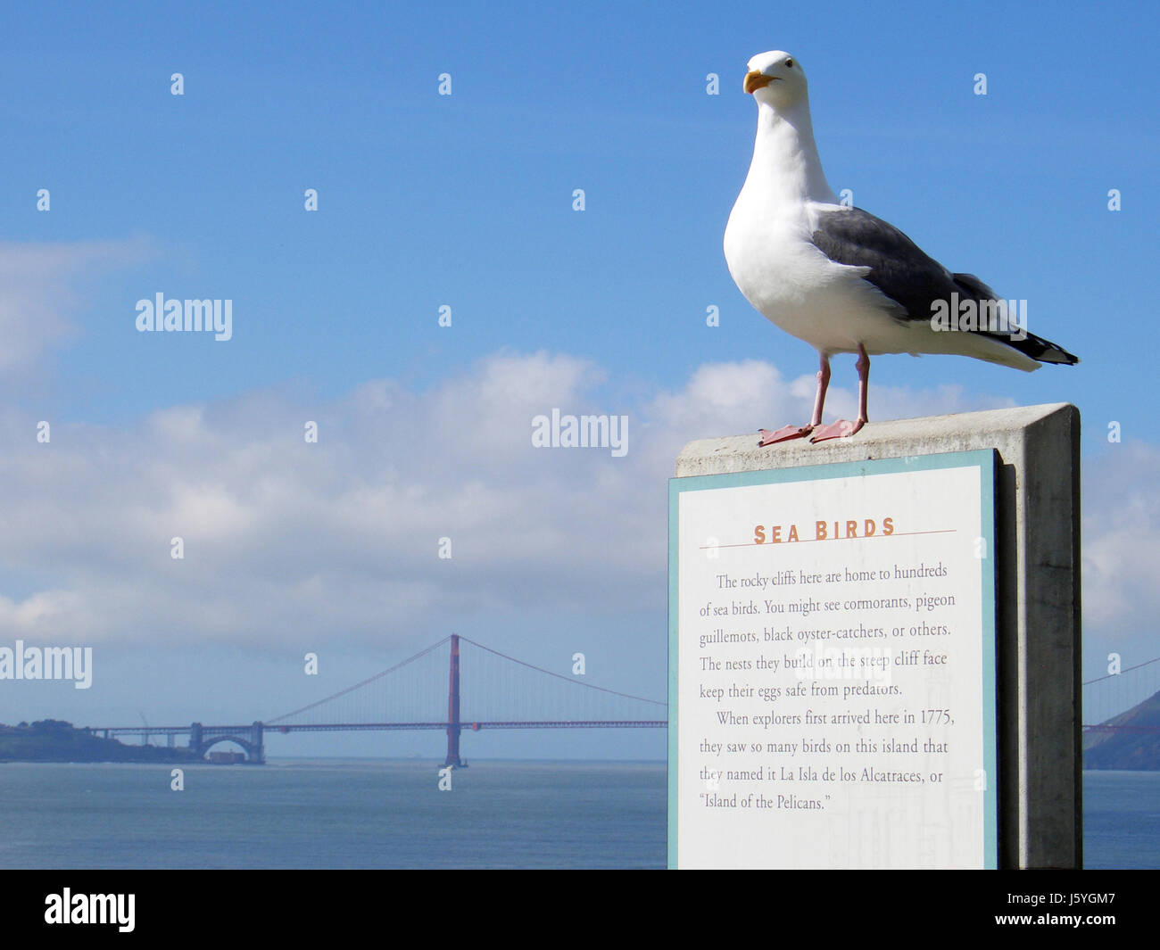 sign signal animal bird birds usa data informations substratums facts ...
