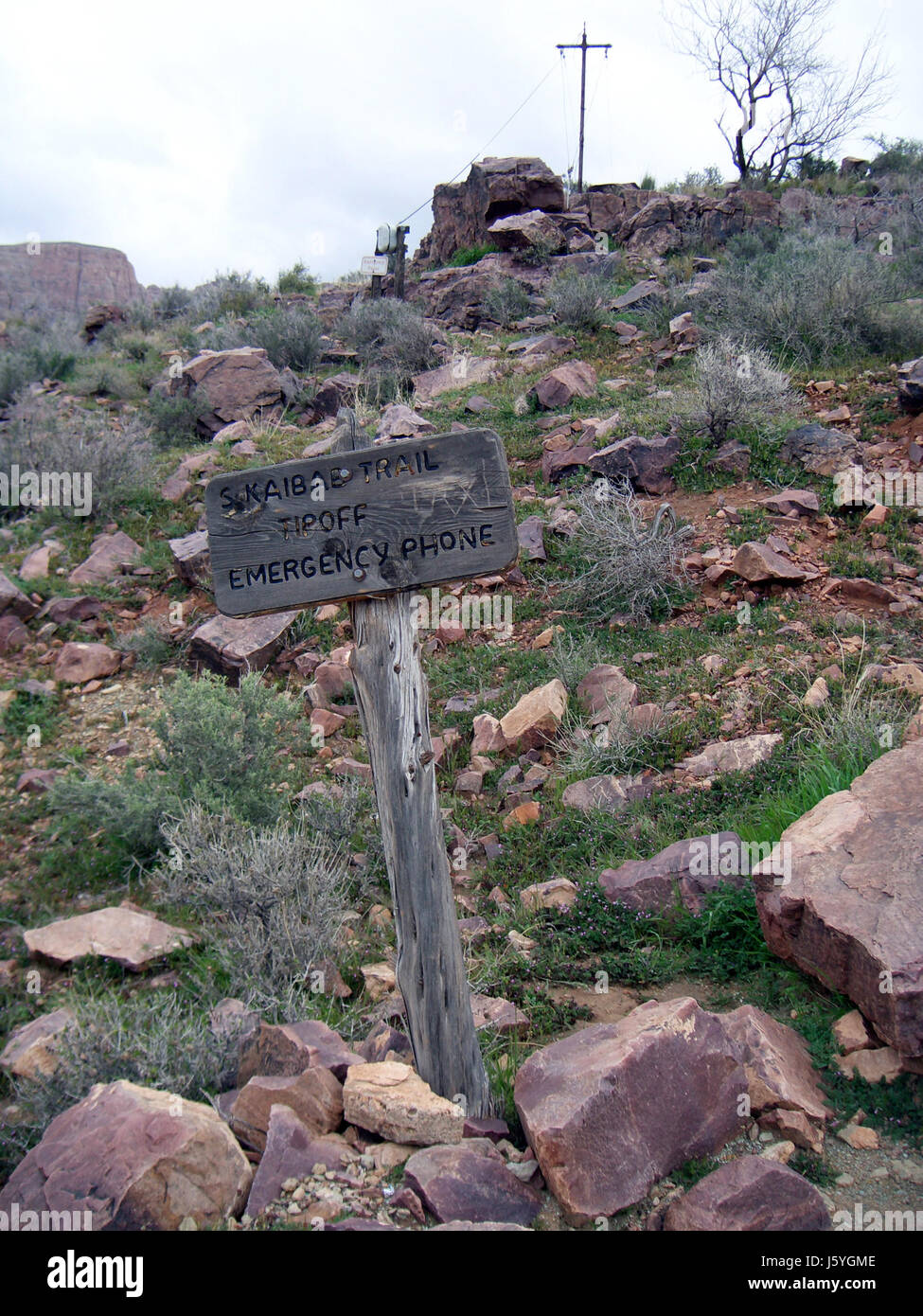 grand canyon phone Stock Photo - Alamy