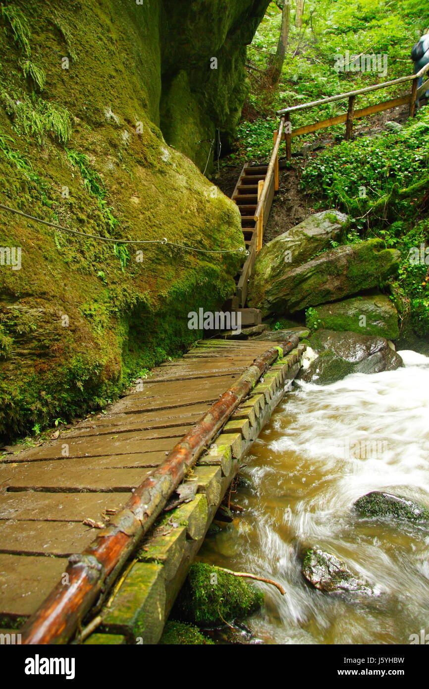 wild stream rock bridge moss path way water stone holiday vacation ...