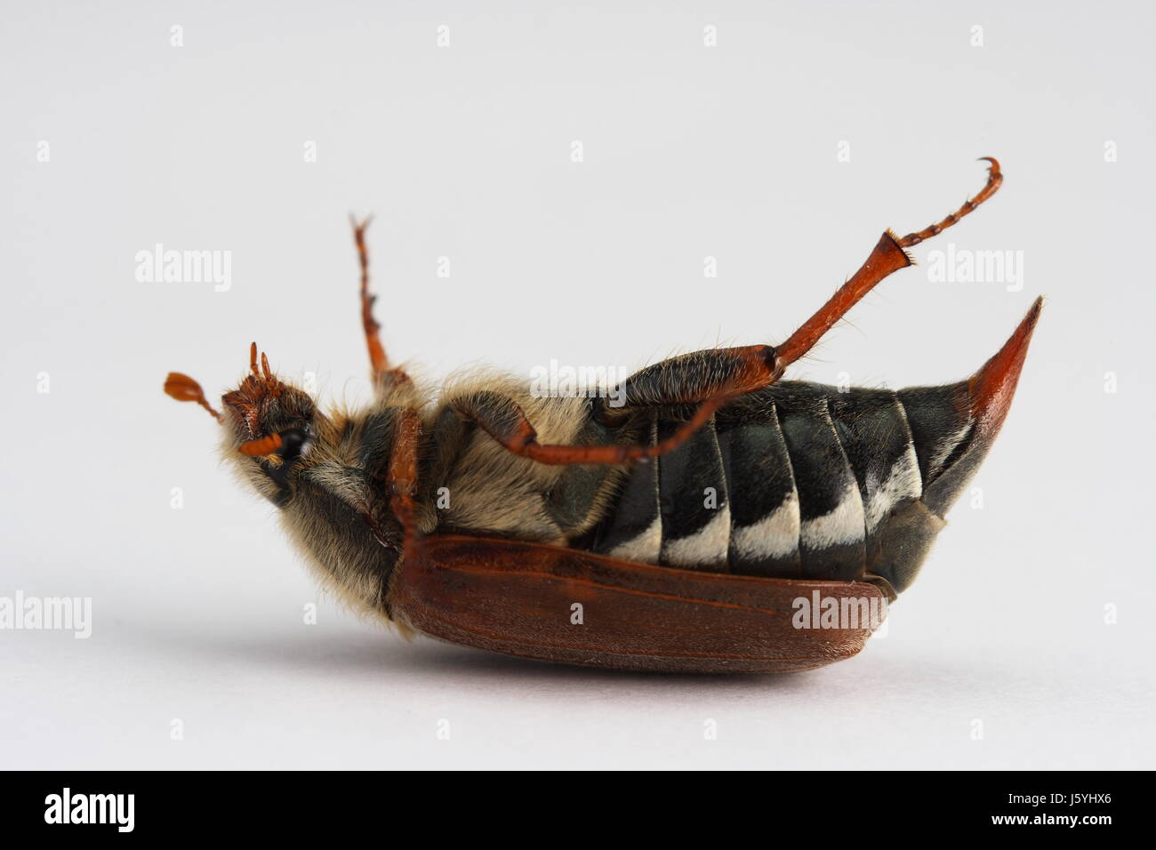 On the feet hi-res stock photography and images - Alamy