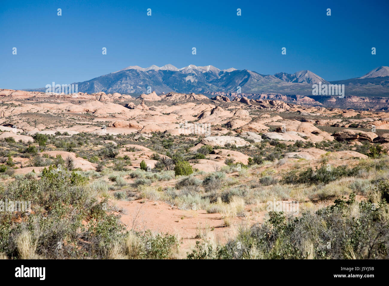 dunes sandstone petrified national park arc usa nature-sanctuary dunes ...