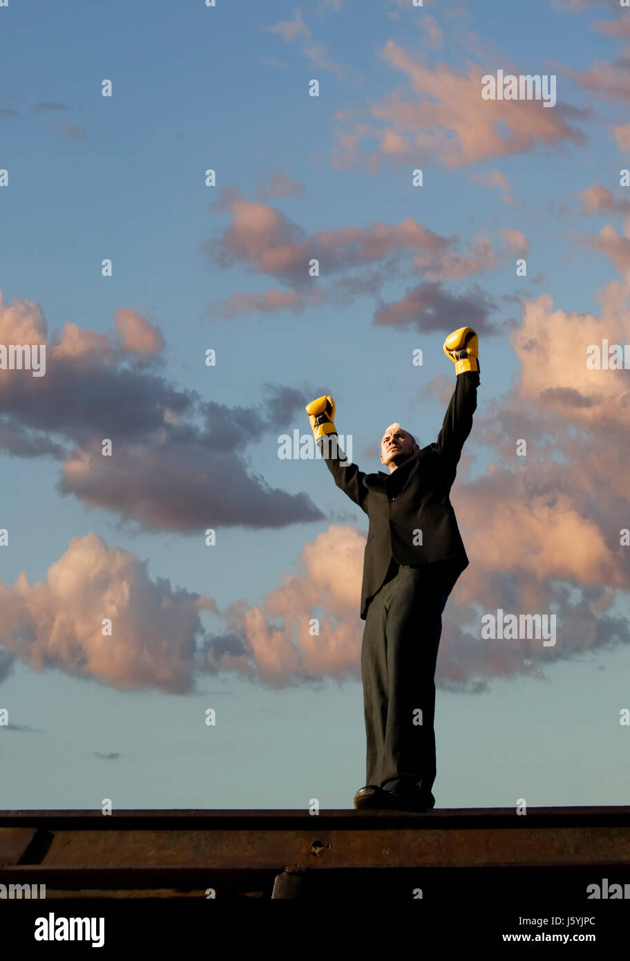 fight fighting competition punch gloves aggressive agressive success ...