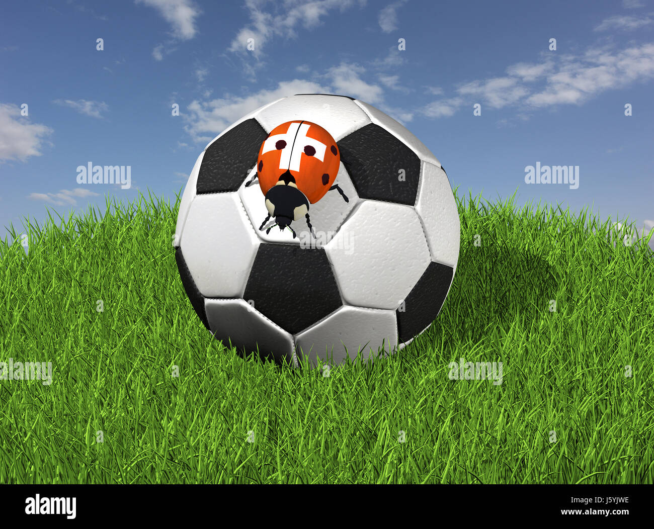 sport sports soccer football ladybug ball leather dots meadow sport ...