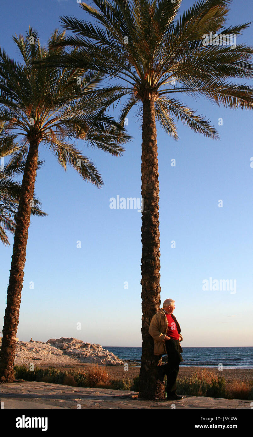 Man resting under palm tree hi-res stock photography and images - Alamy
