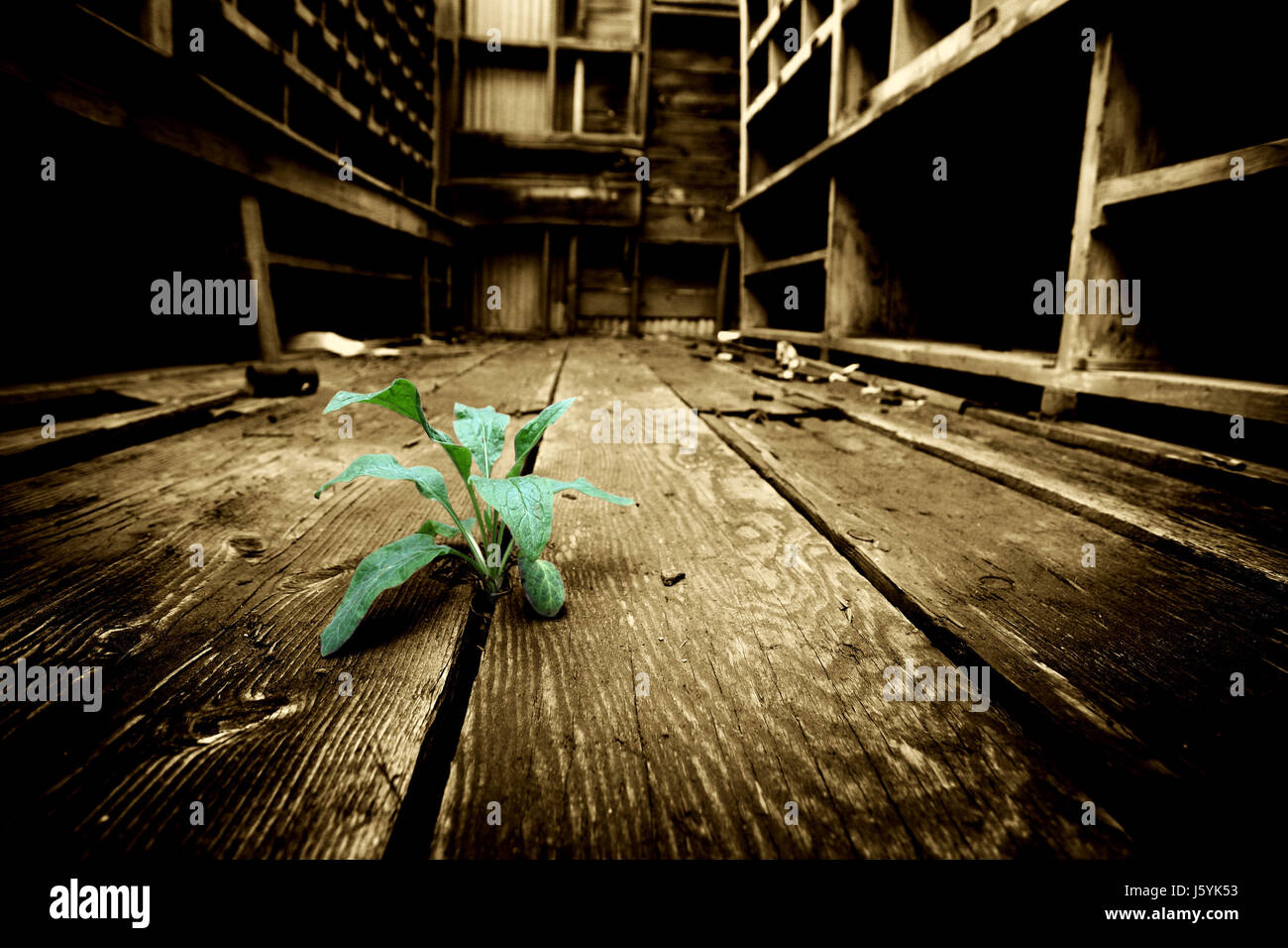 Struggle for existence hi-res stock photography and images - Alamy