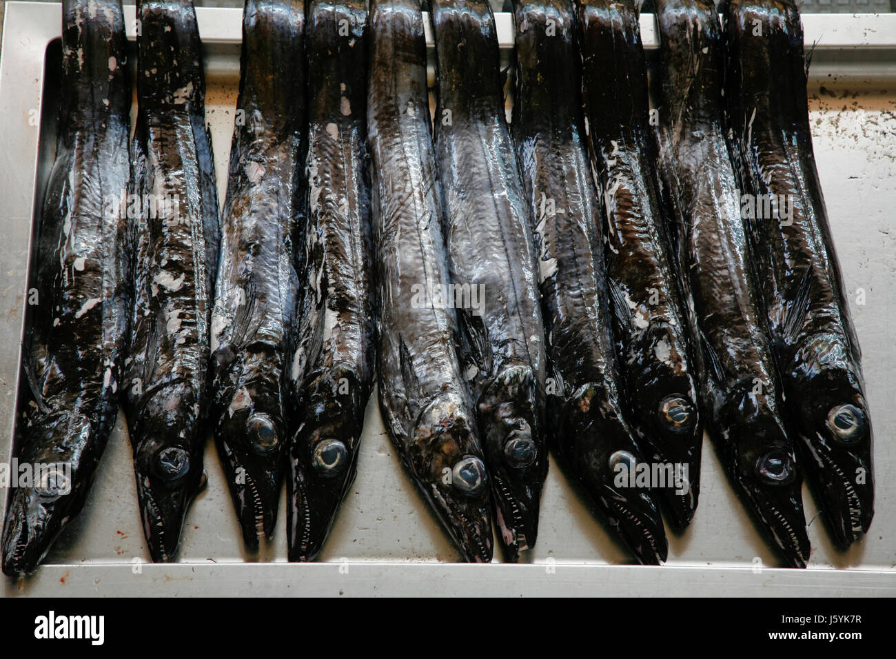 black scabbard fish Stock Photo - Alamy