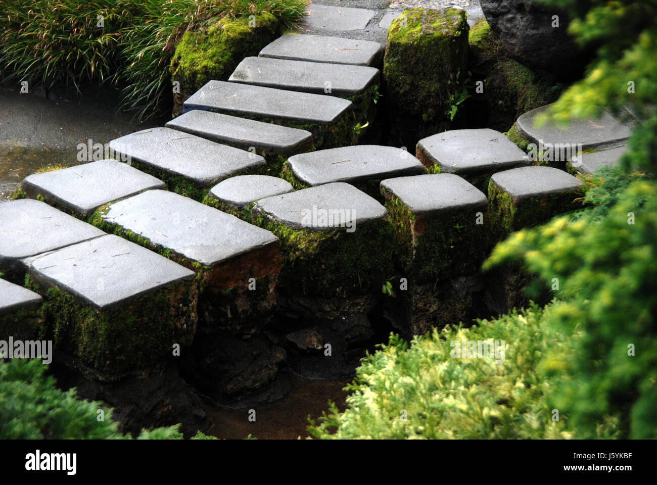Right wrong path hi-res stock photography and images - Alamy