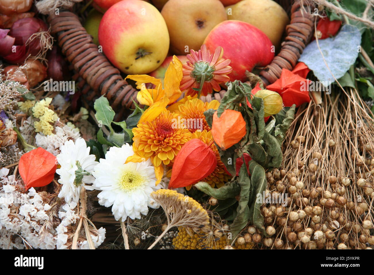 basket farmer october september harvest festival harvest nature fall ...