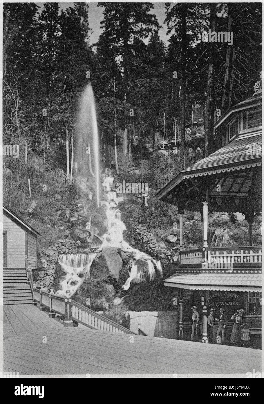 Resort, Shasta Springs, California, USA, Photogravure, Denison News Co ...