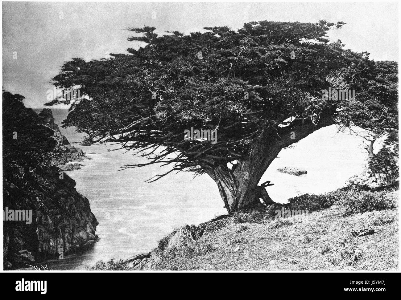 Monterey point lobos Black and White Stock Photos & Images - Alamy