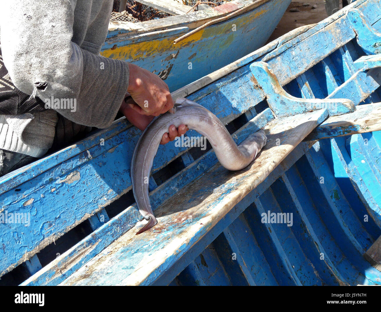 Fishing rowing boat hi-res stock photography and images - Alamy
