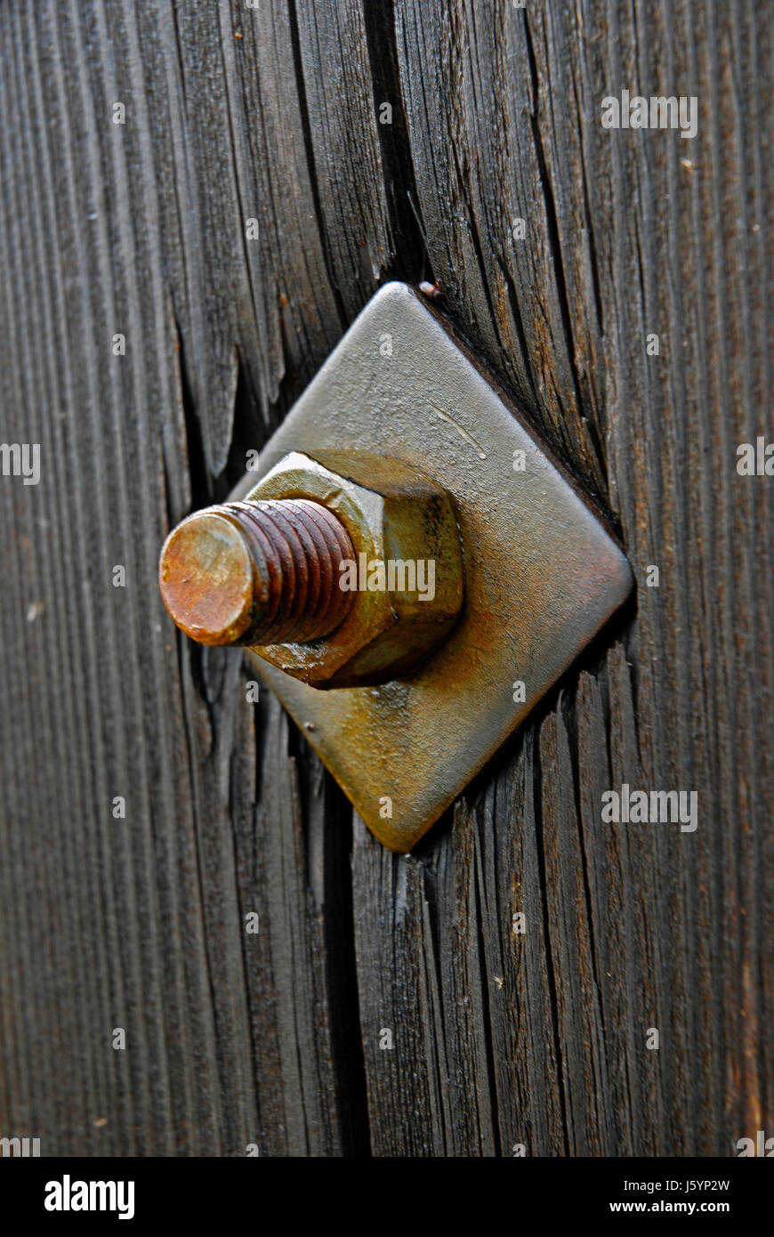 Wood screw hi-res stock photography and images - Alamy