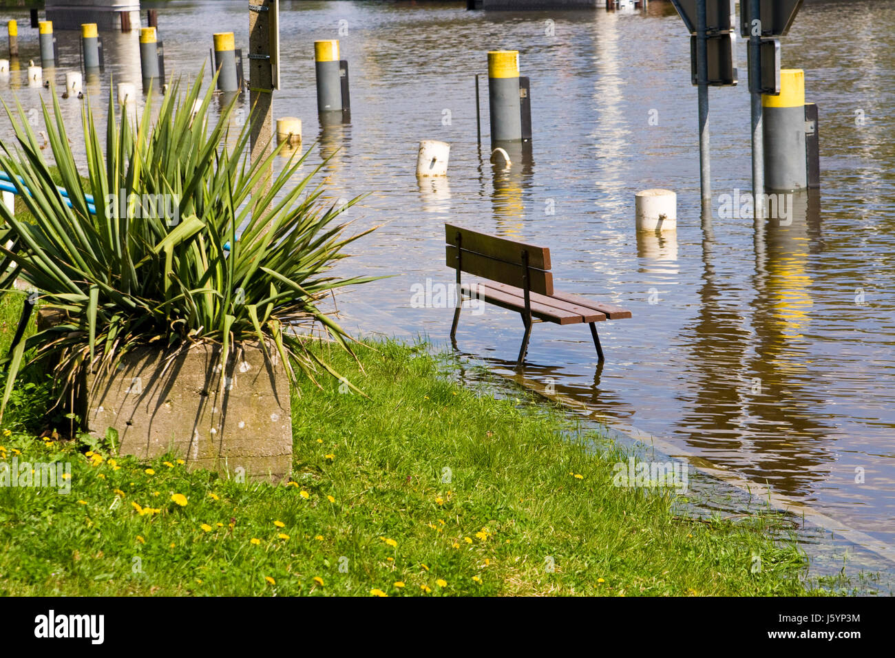 park flood fresh water lake inland water water flooded seat bench river ...