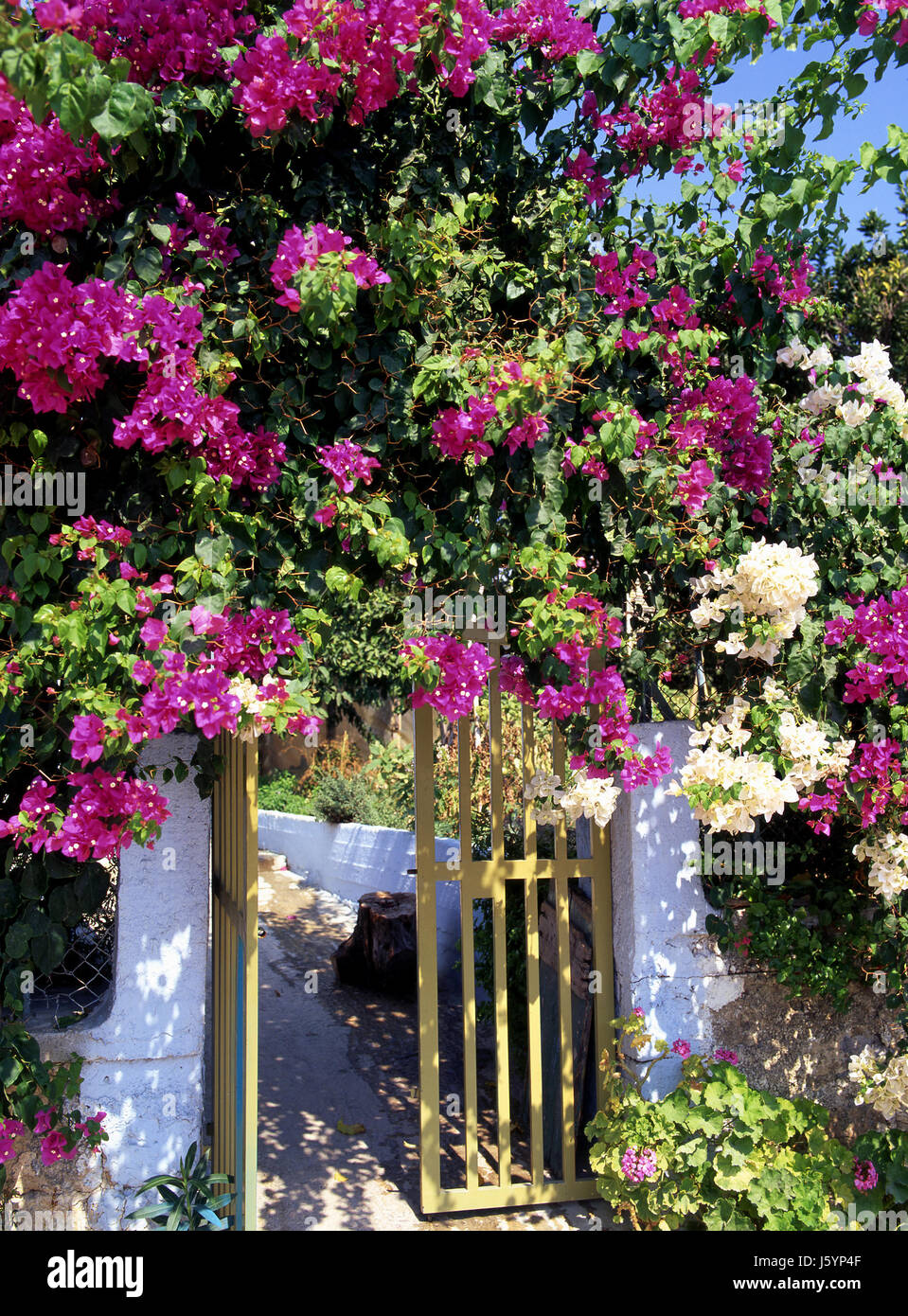 garden greece summer summerly greek pink house building beautiful ...