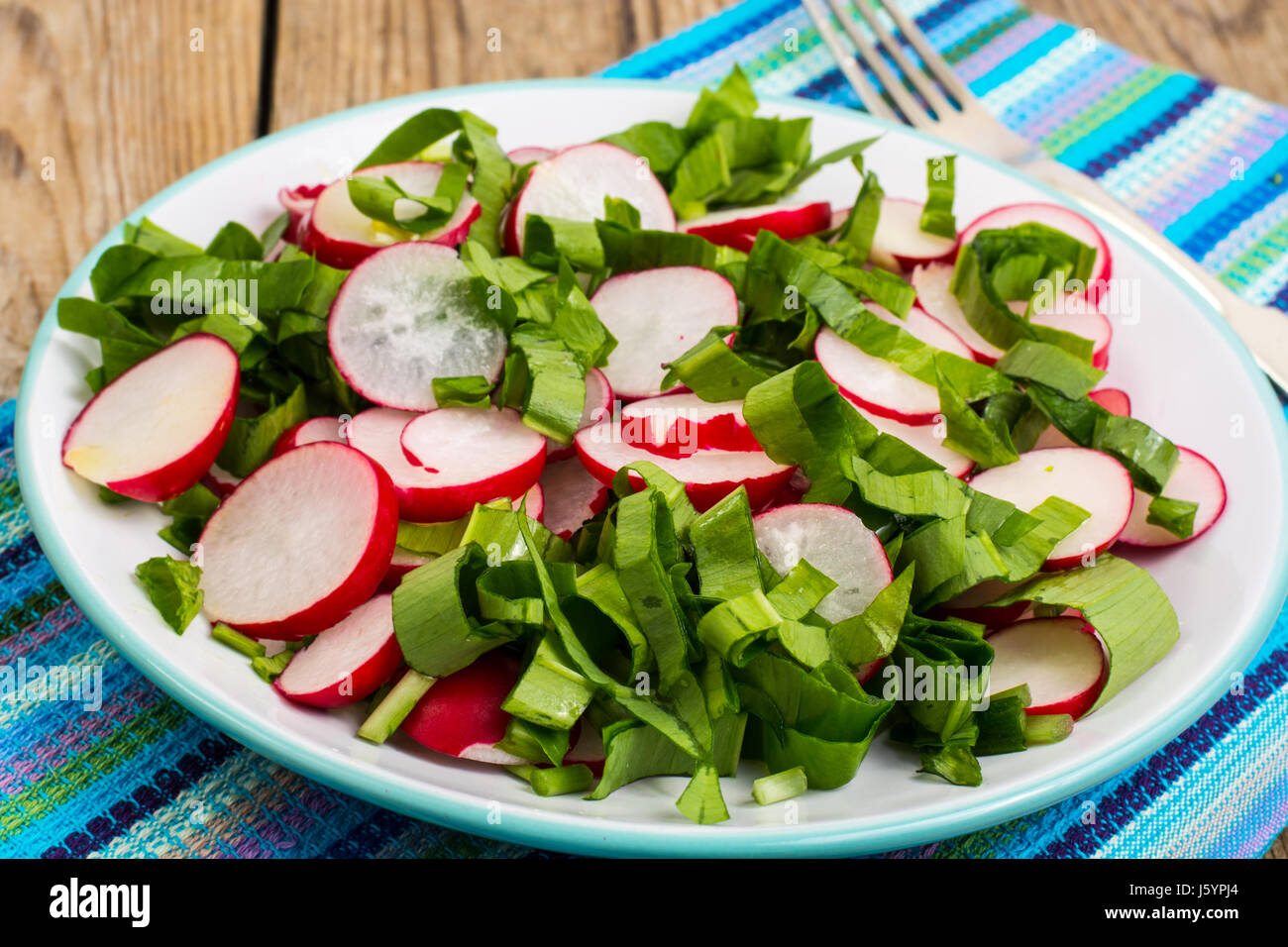 Vegetarian salad with fresh radish and spinach. Studio Photo Stock ...