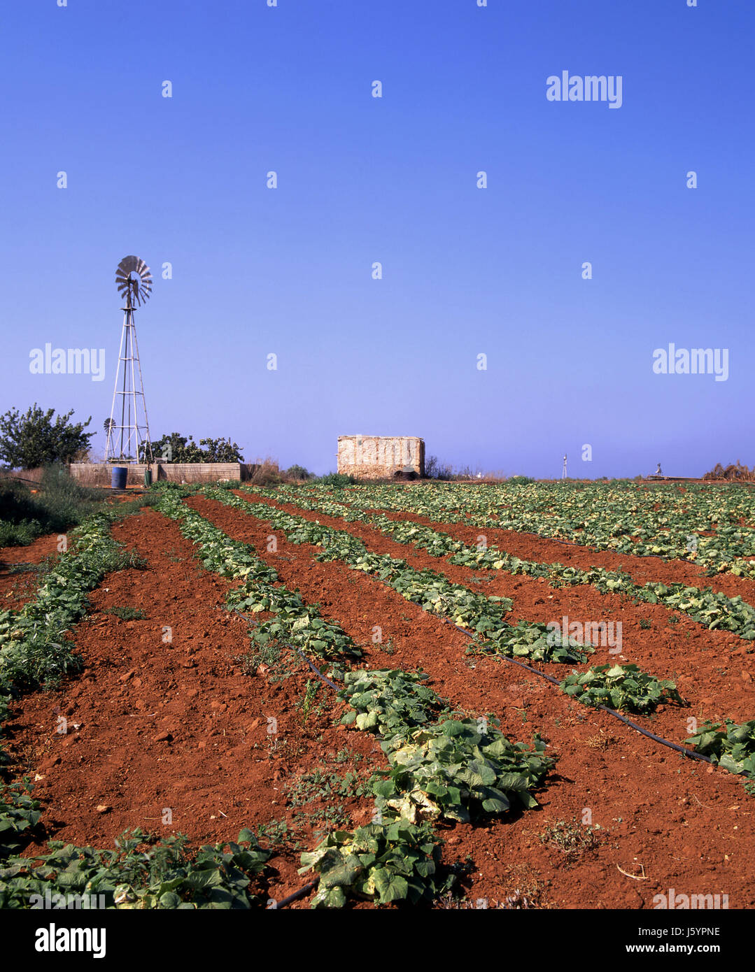 agriculture farming windmill farm cyprus ranch watering irrigation pump ...