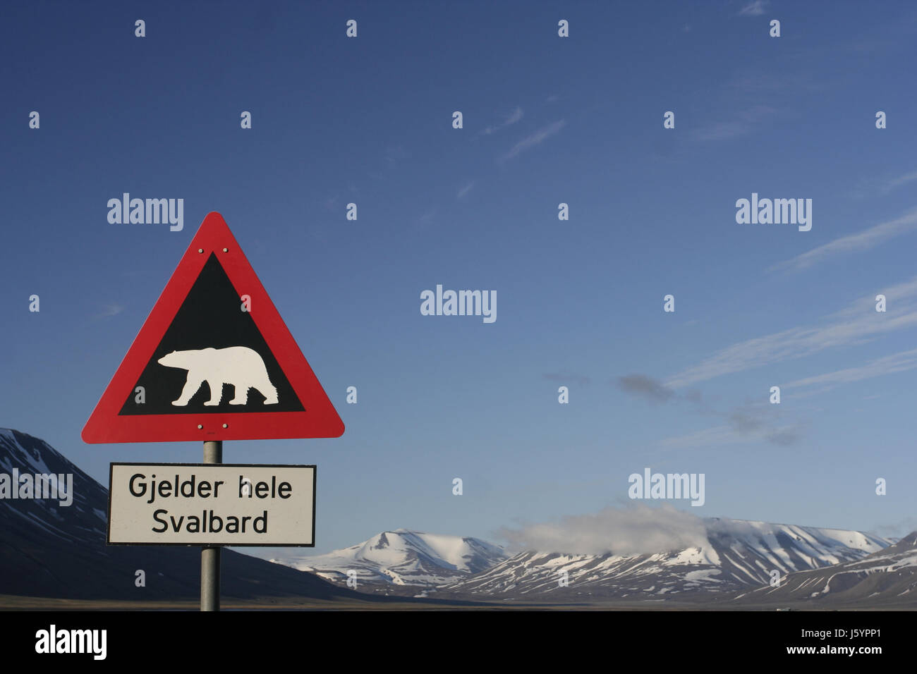 warning sign polar bear svalbard Stock Photo - Alamy