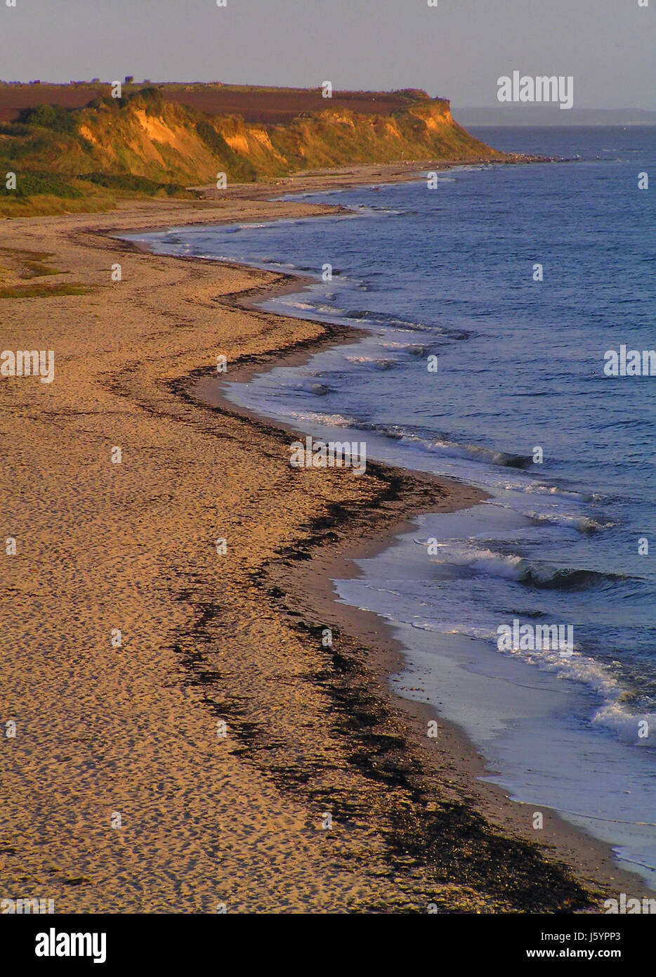 beach seaside the beach seashore sandy beach scenery countryside nature ...