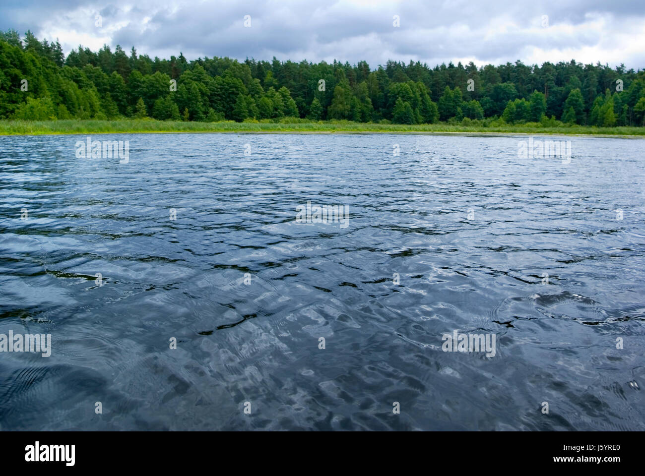 fresh water lake inland water water forest blue beautiful beauteously ...