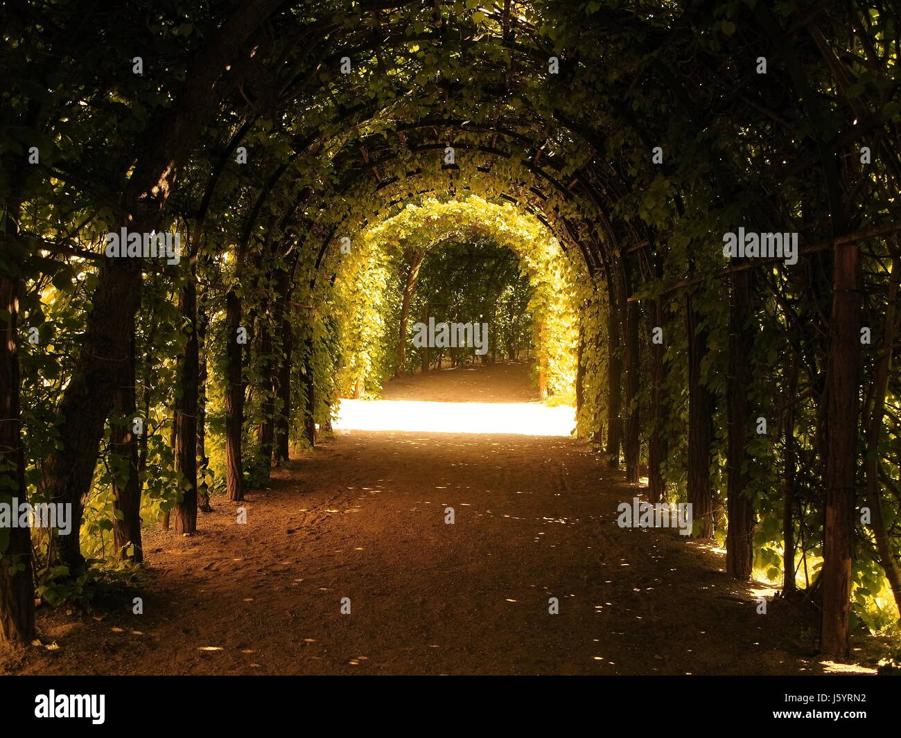 shine shines bright lucent light serene luminous goal passage gate ...