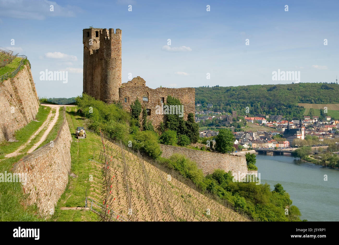 rhine world cultural heritage chateau castle rhine vineyard world ...