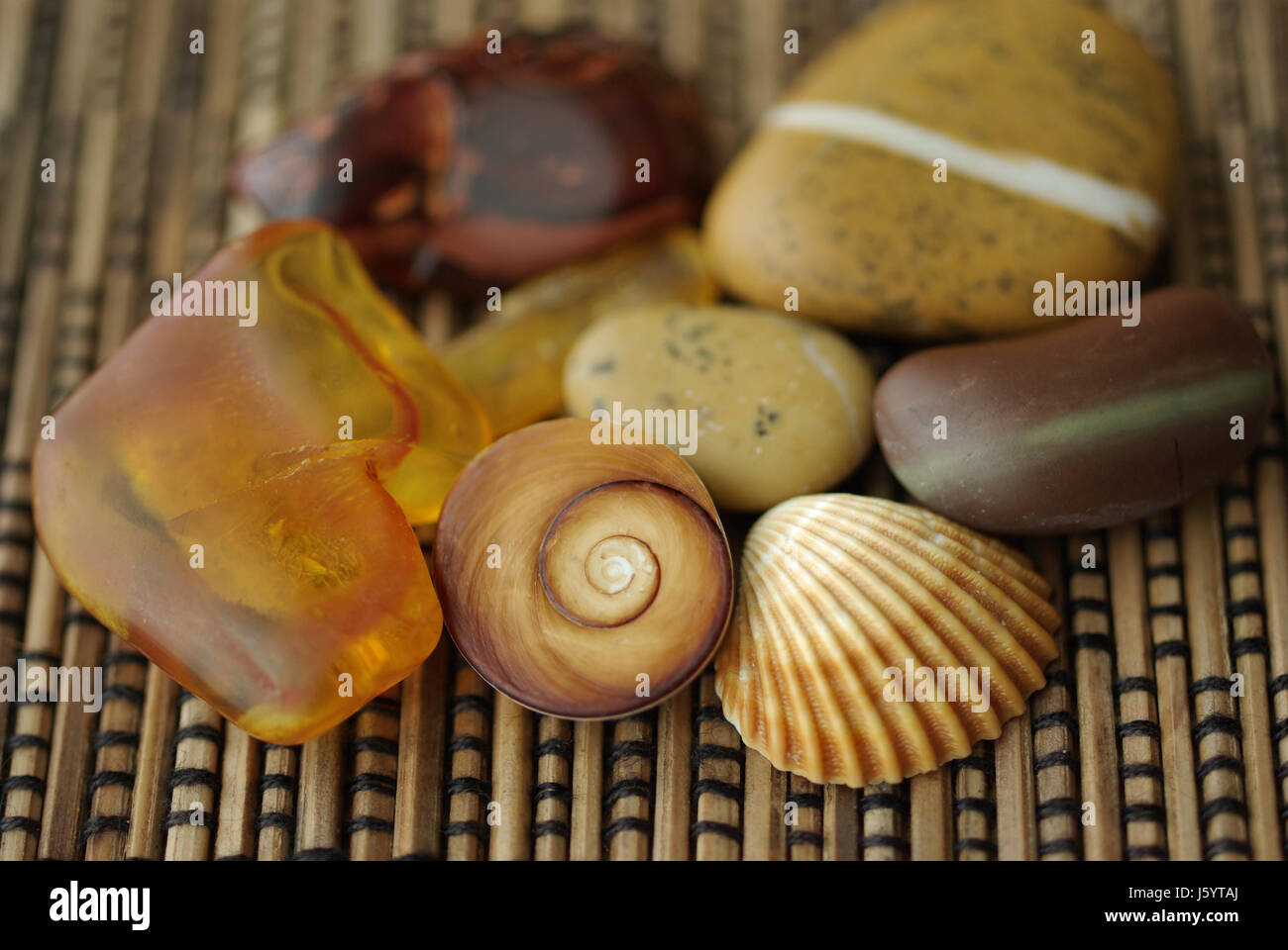 Resin fossils hi-res stock photography and images - Alamy