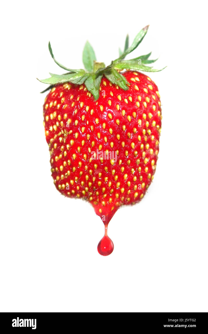 isolated progenies fruits fruit drop strawberry berry good fresh drip ...