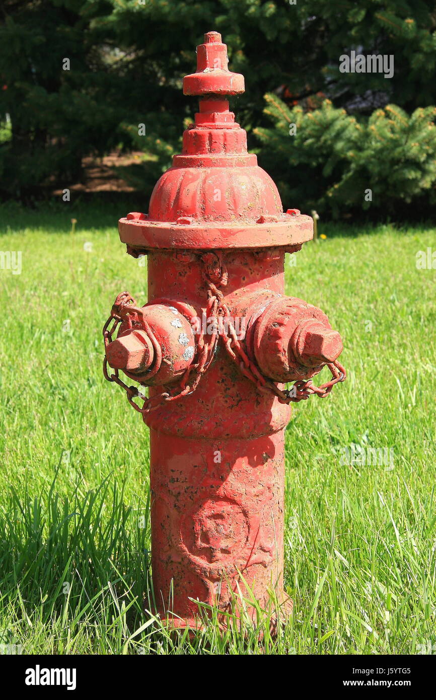 garden fireplug fireplugs gardens armature meadow grass lawn green ...