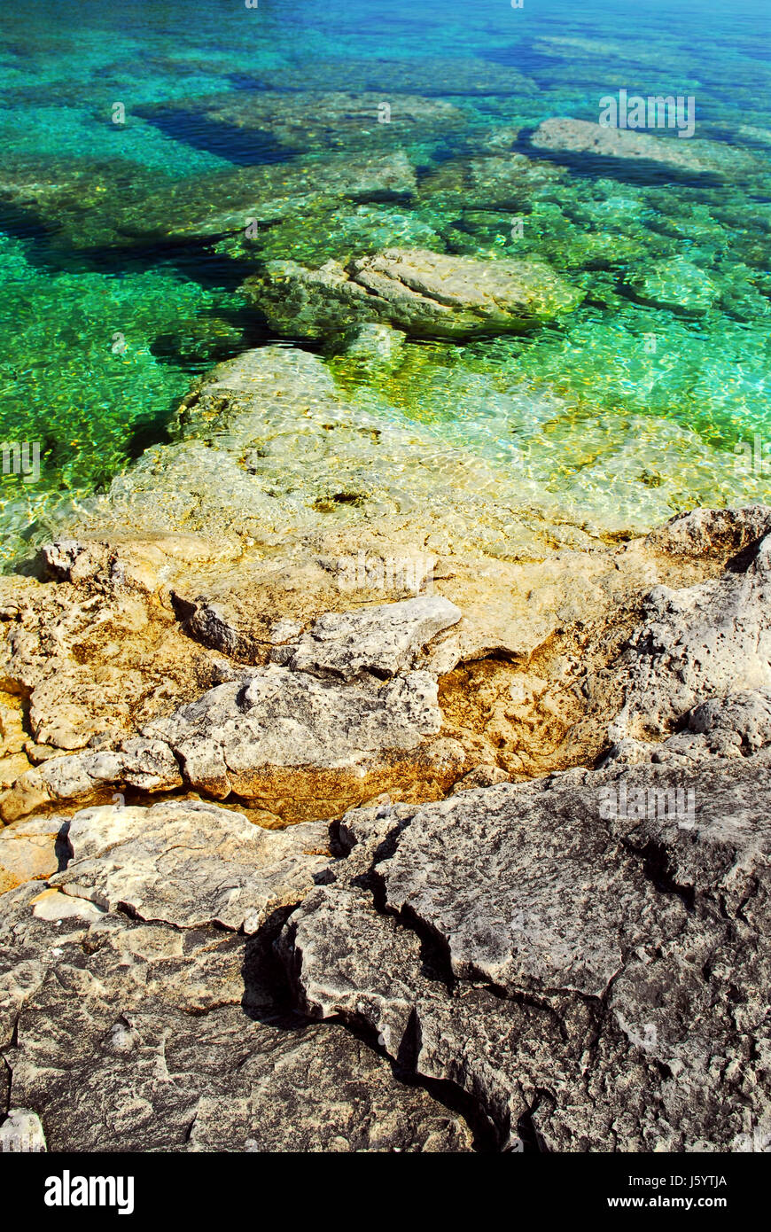 coast calm fresh water lake inland water water ripple shore blue shine ...