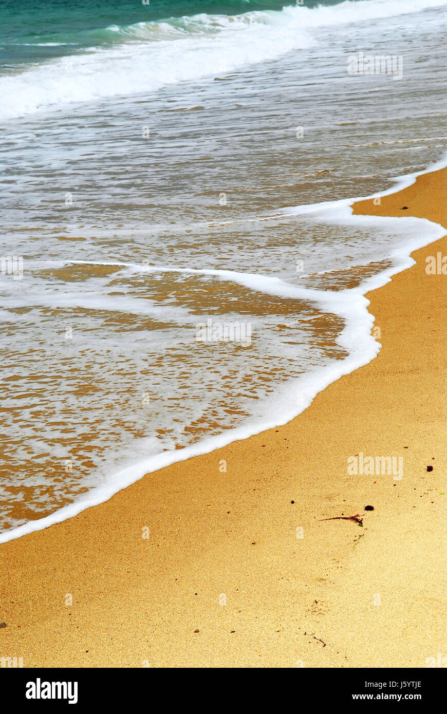 beach seaside the beach seashore waves coast atlantic salt water sea ...