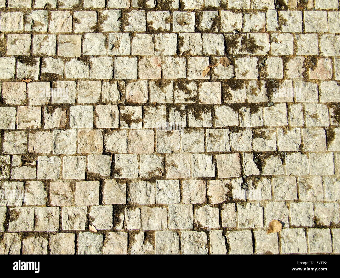 stone plaster structure backdrop background texture stone plaster ...