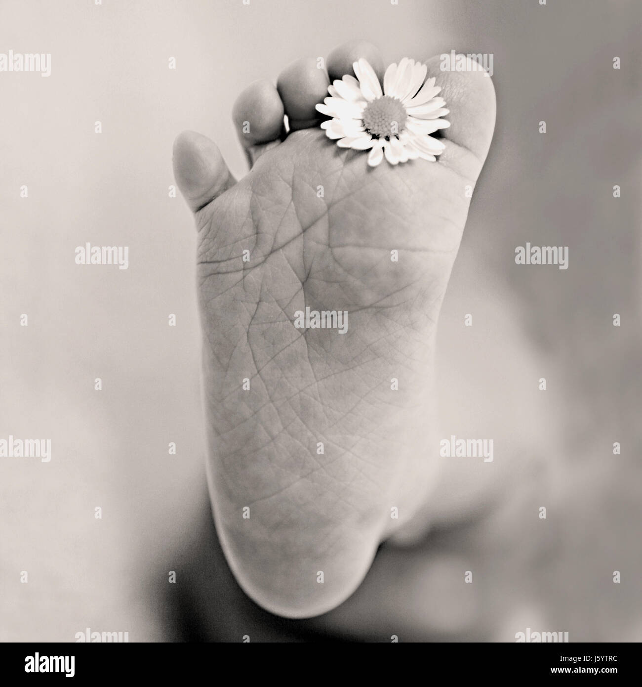 step by step Stock Photo - Alamy