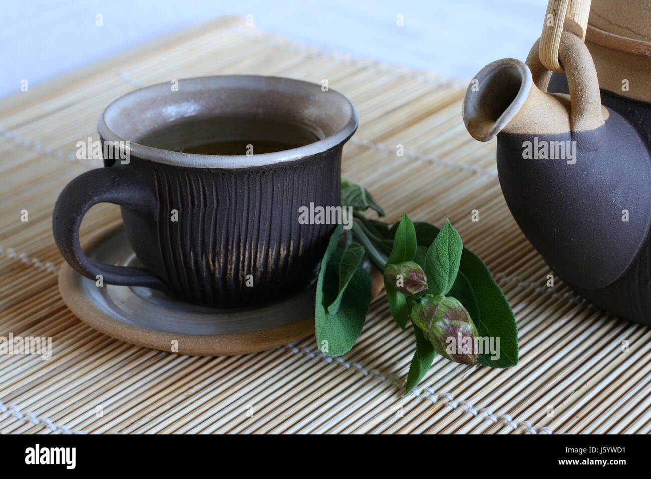 cup tea drink sage teapot herb tea cup tea drink plant sage teapot ...