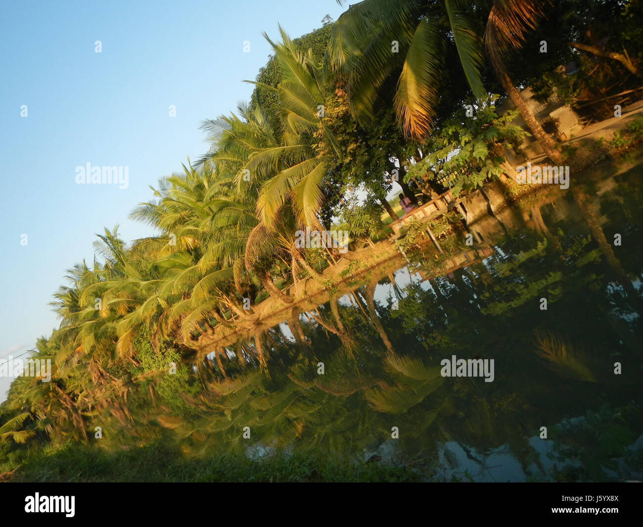 02886 Sunsets Coconut trees in Bulacan Irrigation Bridge Pulilan ...