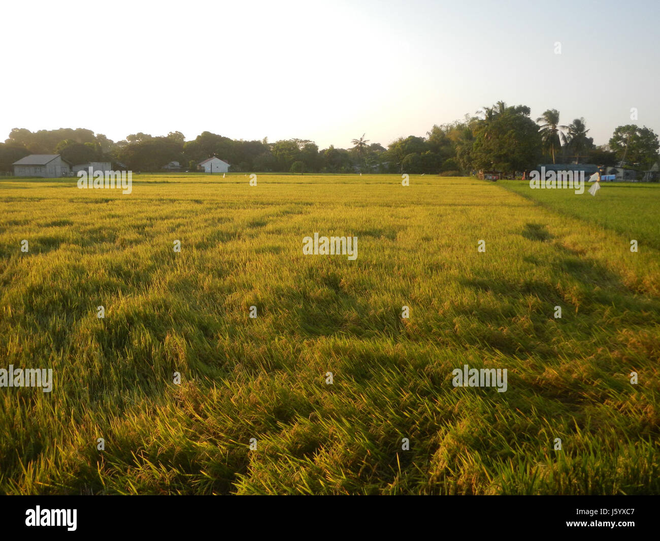 Chico river irrigation hi-res stock photography and images - Alamy