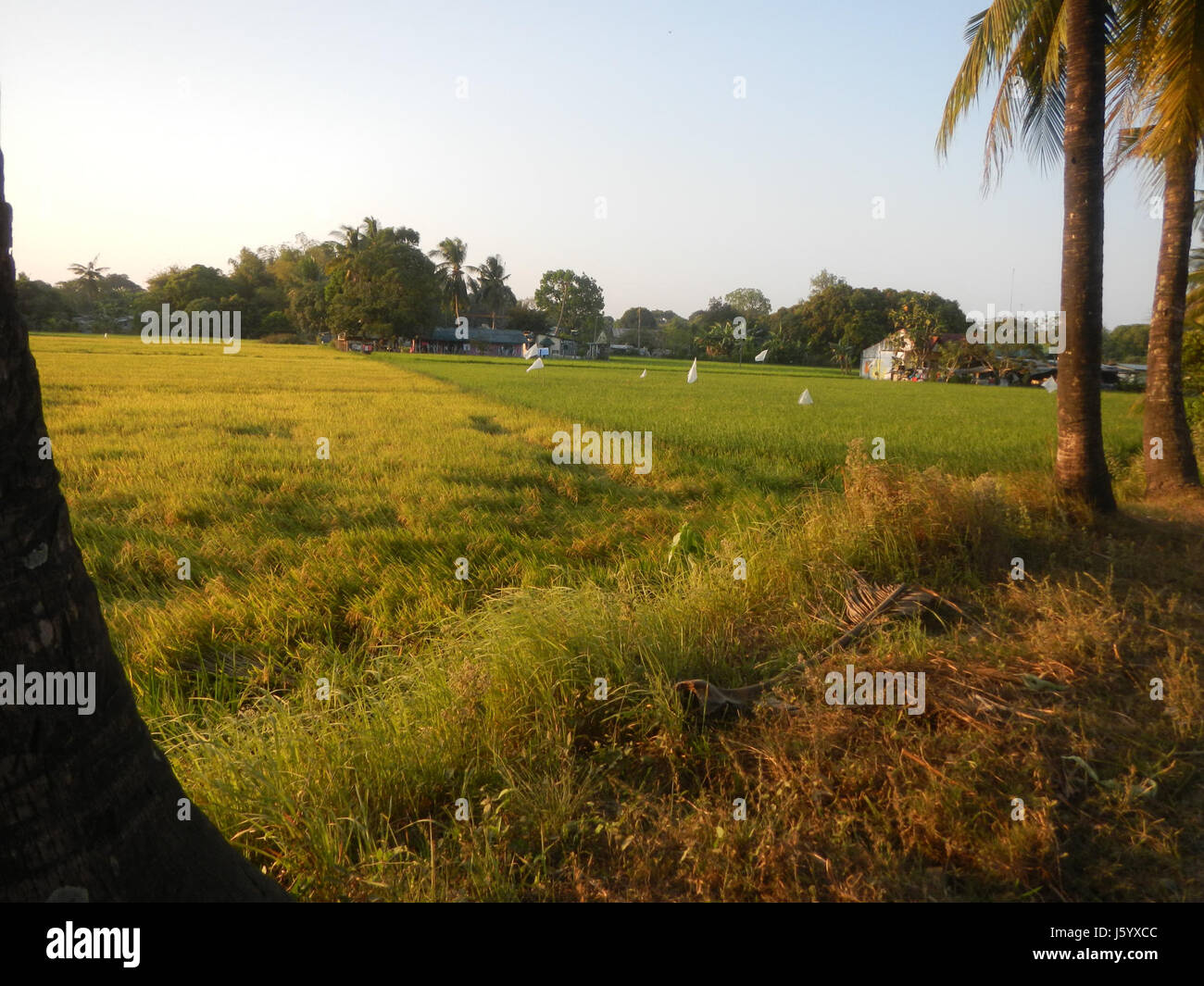 This photograph captures the Irrigation Bridge across the Chico River ...