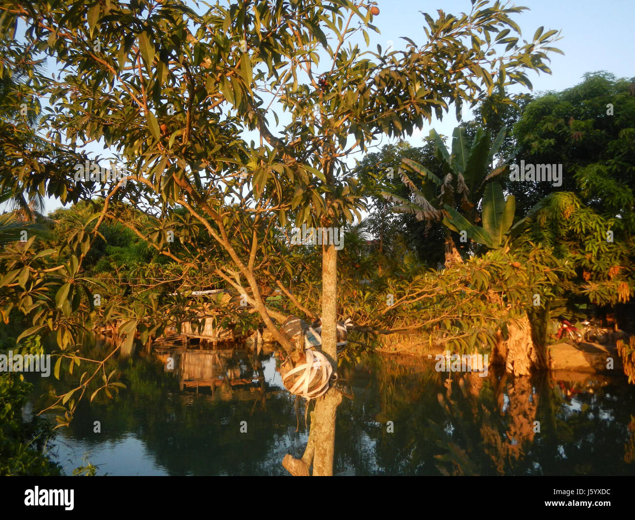 This image depicts the Irrigation Bridge over the Chico River along the ...