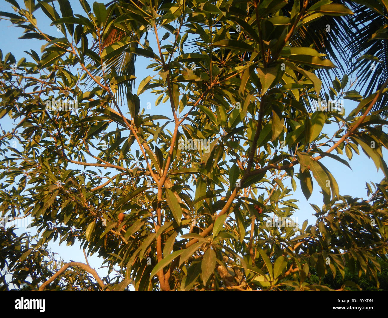 Chico river irrigation hi-res stock photography and images - Alamy