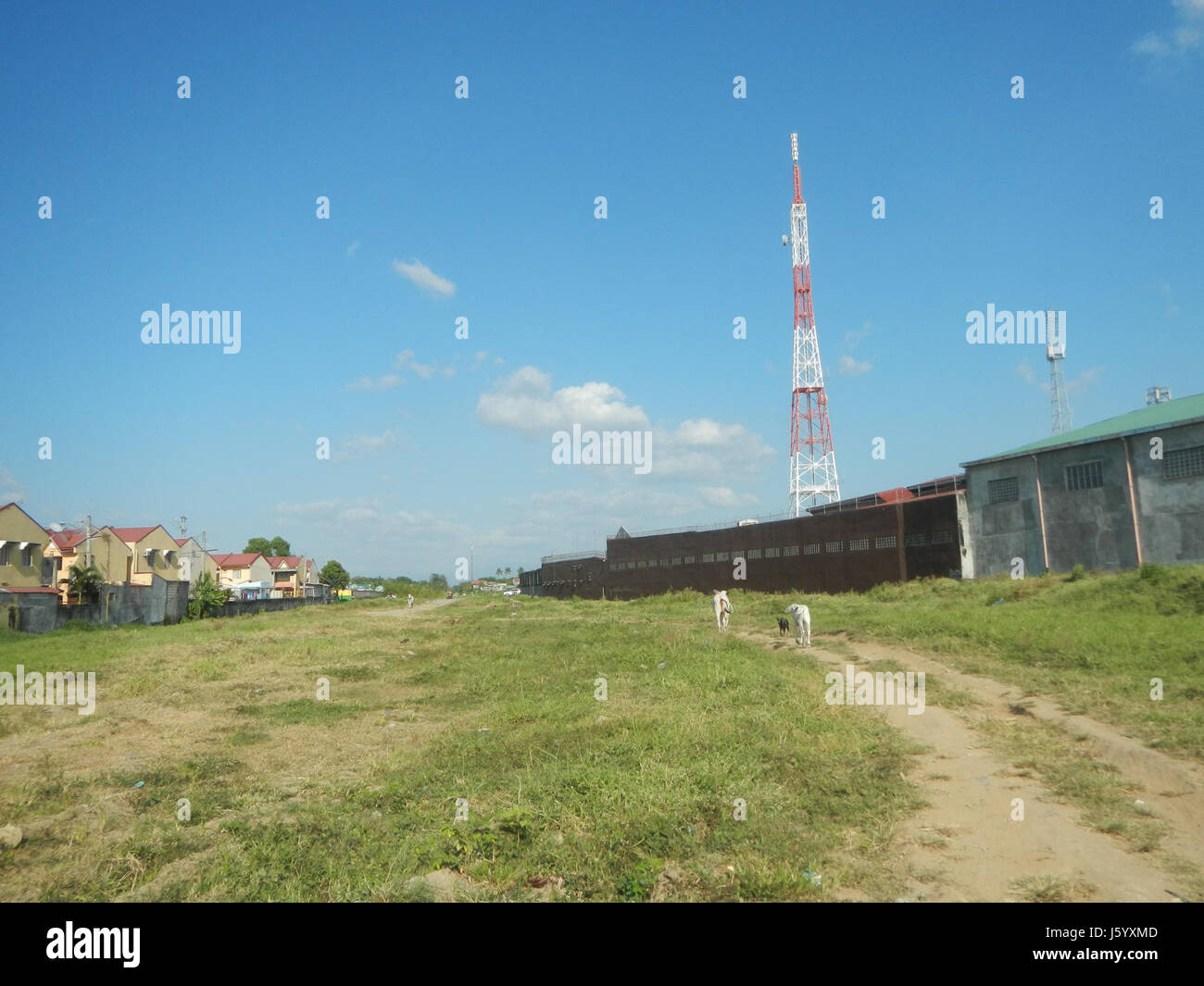 03167JfGuiguinto railway station Calves grasslands Tabe Tuktukan Calves ...